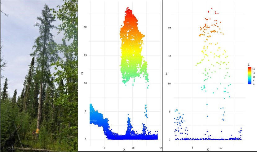 Applying Remote Sensing for Large-landscape Problems: Inventorying and Tracking Habitat Recovery ...